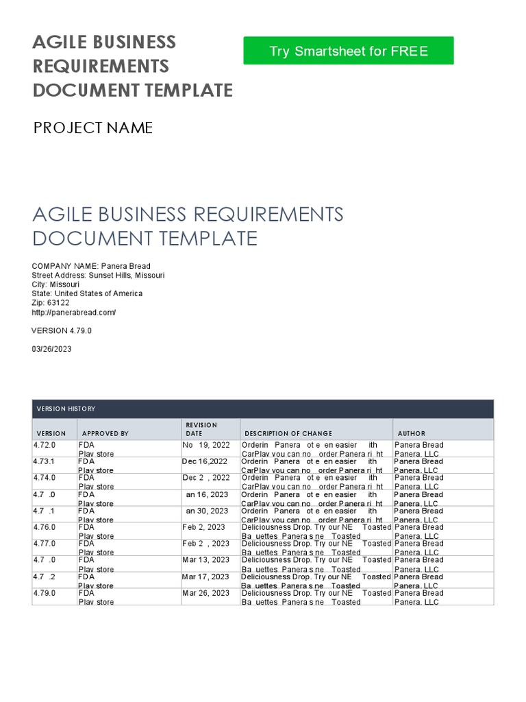 IC Agile Business Requirements Document Template 11238 - PDF | PDF ...