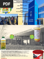 CUPRAVIT Ficha Tecnica 2024 2 | PDF | Plantas | Botánica