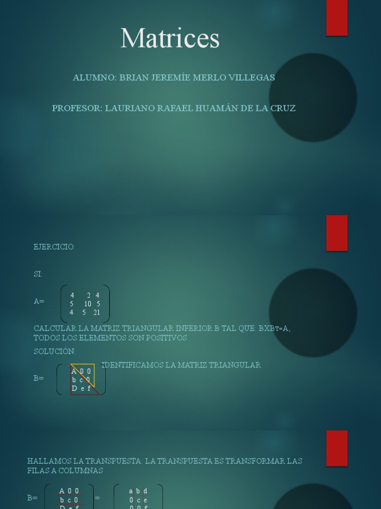 Matrices Matematica | PDF