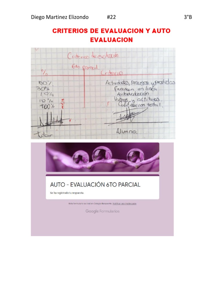 Diego MaEl 3B CRITERIOS DE EVALUACION Y AUTO EVALUACION | PDF
