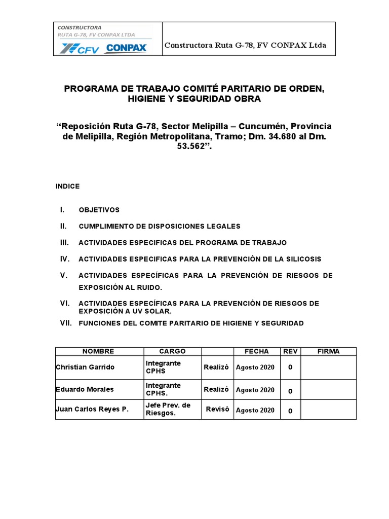 Programa de Trabajo Comité Paritario de Orden | PDF | Seguridad y salud ocupacional | Ciencias ...