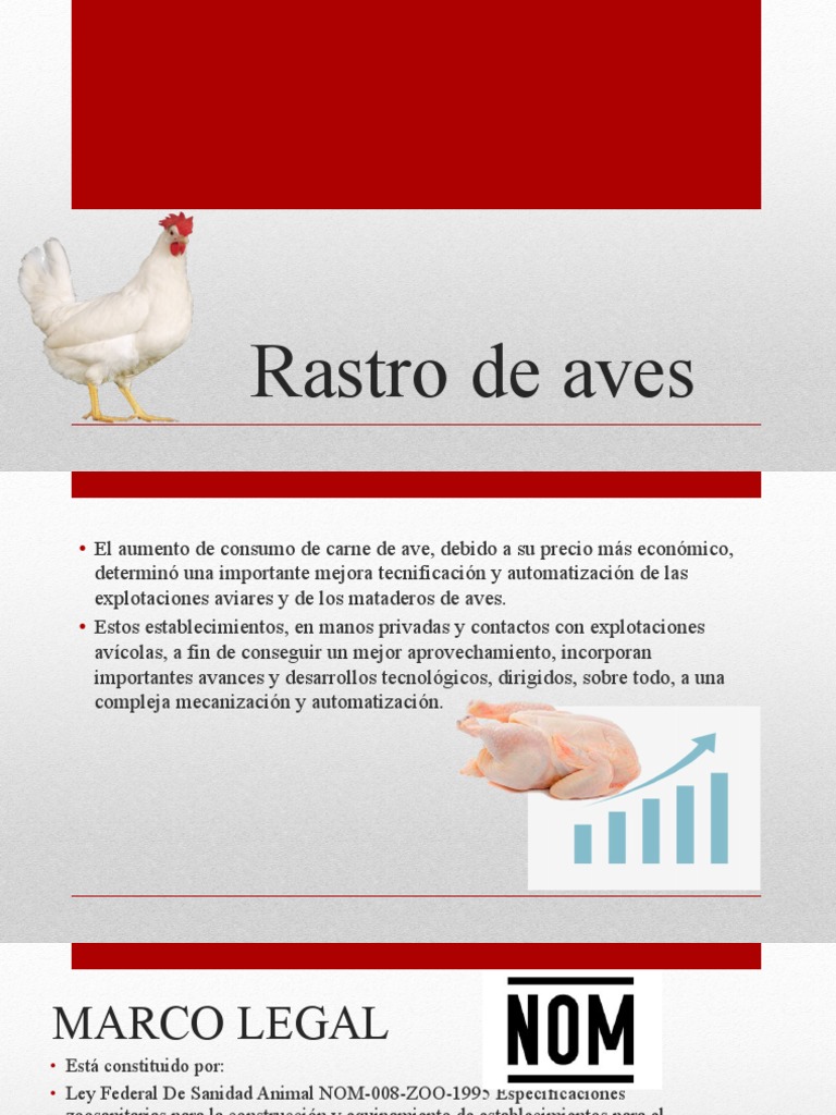 Toma de Aves Vivas, Carga y Transporte | PDF | Matadero | Carne