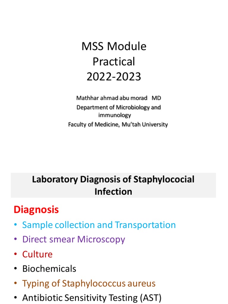 MSS Lab 2022-2023 | PDF | Staphylococcus | Methicillin Resistant Staphylococcus Aureus
