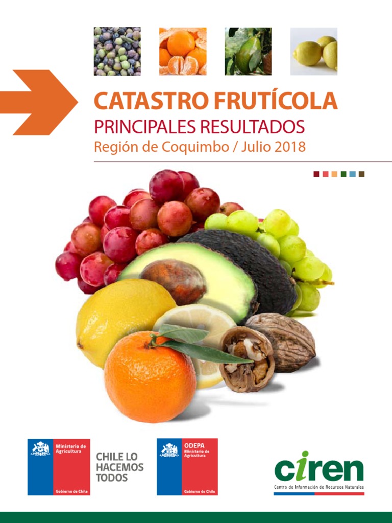 Catastro Frutícola: Principales Resultados | PDF | Frutas comestibles ...