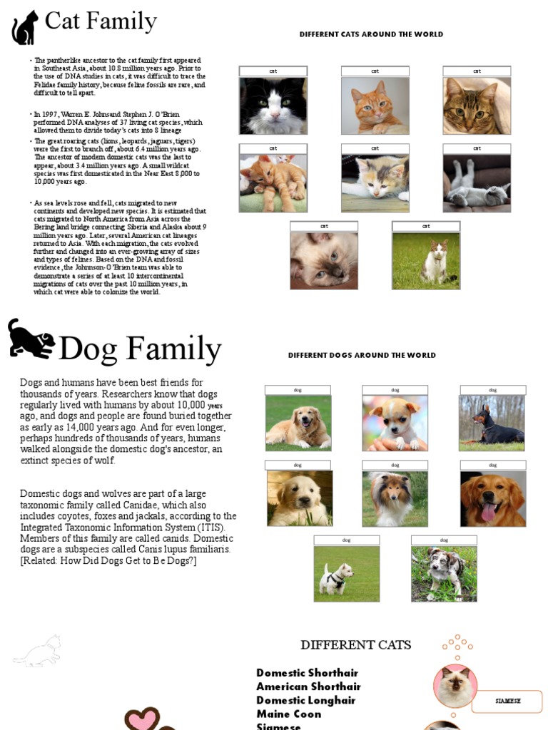 ANIMAL | PDF | Dogs | Felidae