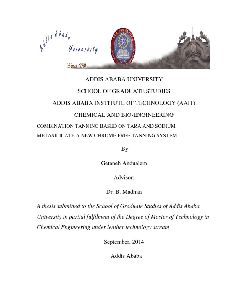 School of Graduate Studies Addis Ababa I | PDF | Leather | Chromium