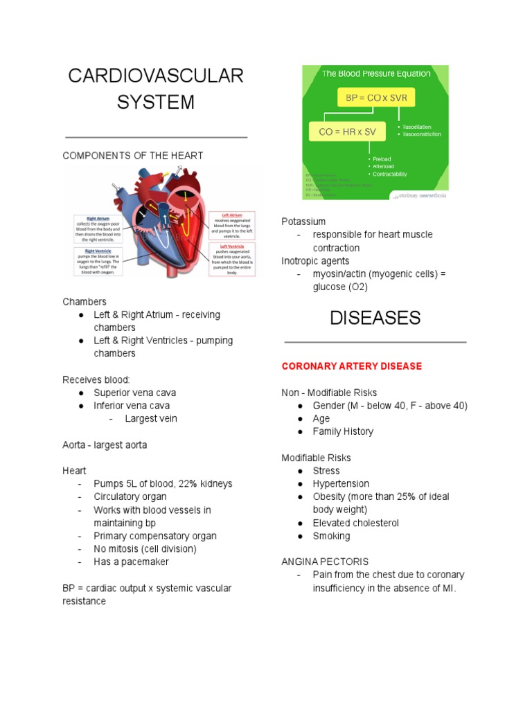 Cardiovascular System: Diseases | PDF | Heart | Vein