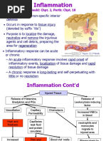 Cellulitis Pathophysiology | PDF | Inflammation | Medical Specialties