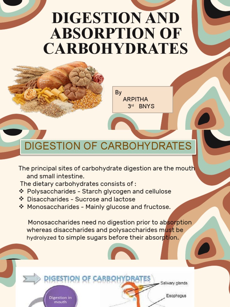 Digestion and Absorption of Carbohydrates: by Arpitha 3 Bnys | PDF ...