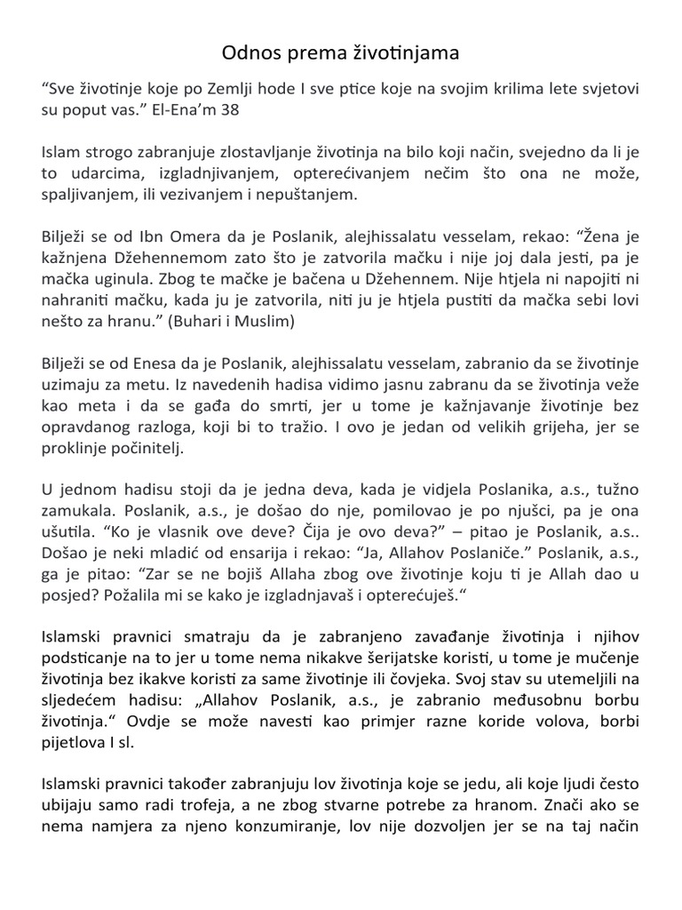 Odnos Prema Životinjama | PDF