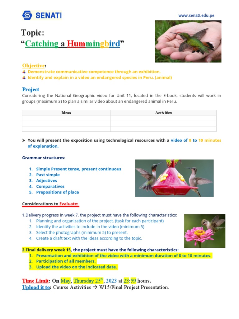 2.final Project Presentation - Hummingbird | PDF | Art
