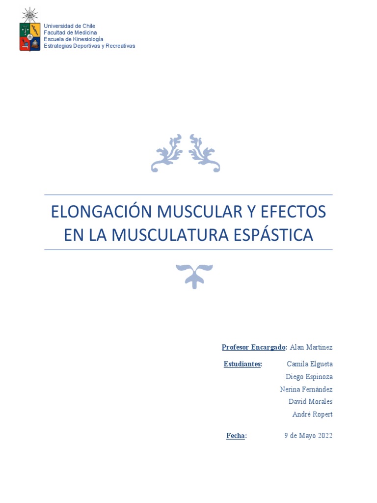 Elongación Muscular Y Efectos en La Musculatura Espástica | PDF ...