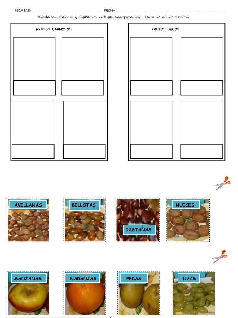 LÁMINA OTOÑO (FRUTOS SECOS Y CARNOSOS)