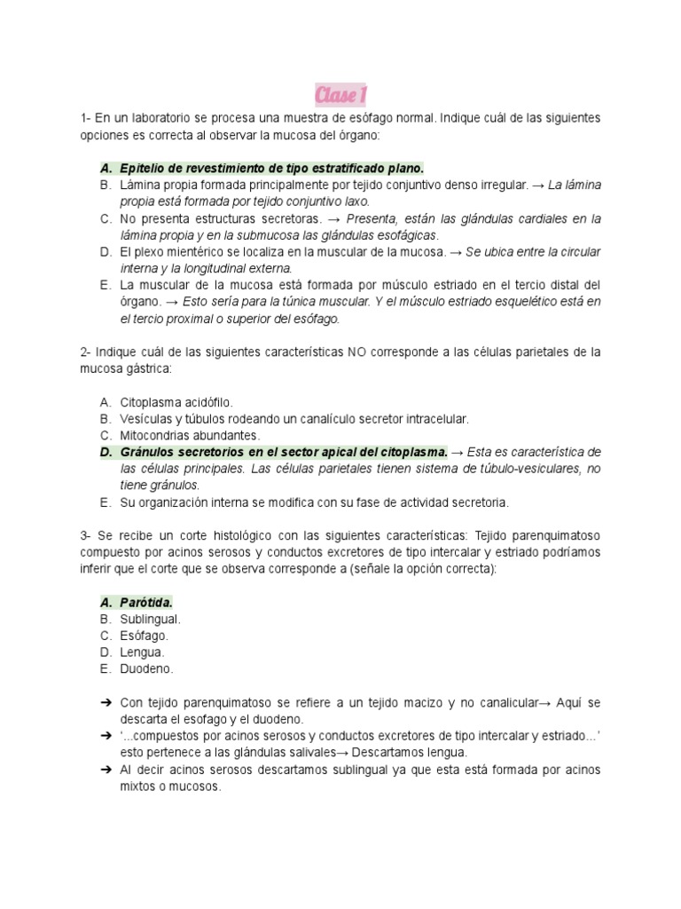Preguntas de Parciales y Examenes Por Clase | PDF | Estómago | Esófago
