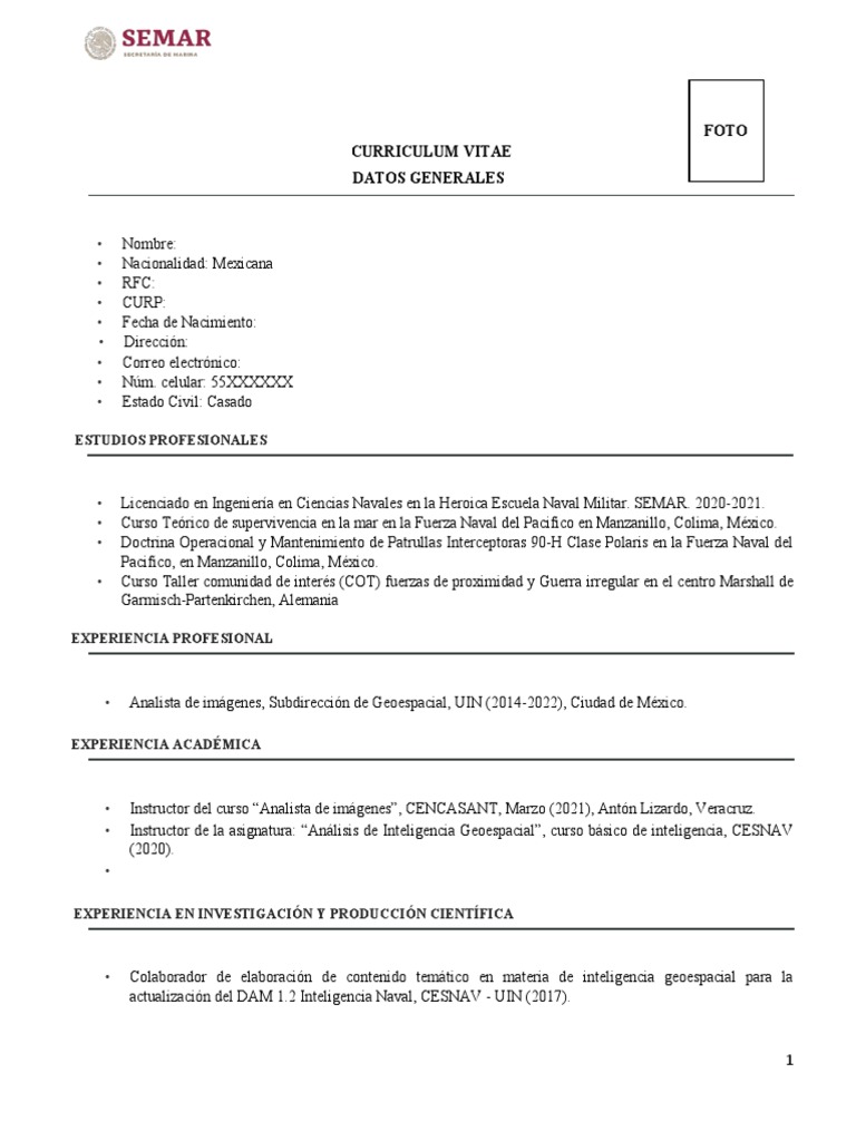 CV Formato | PDF