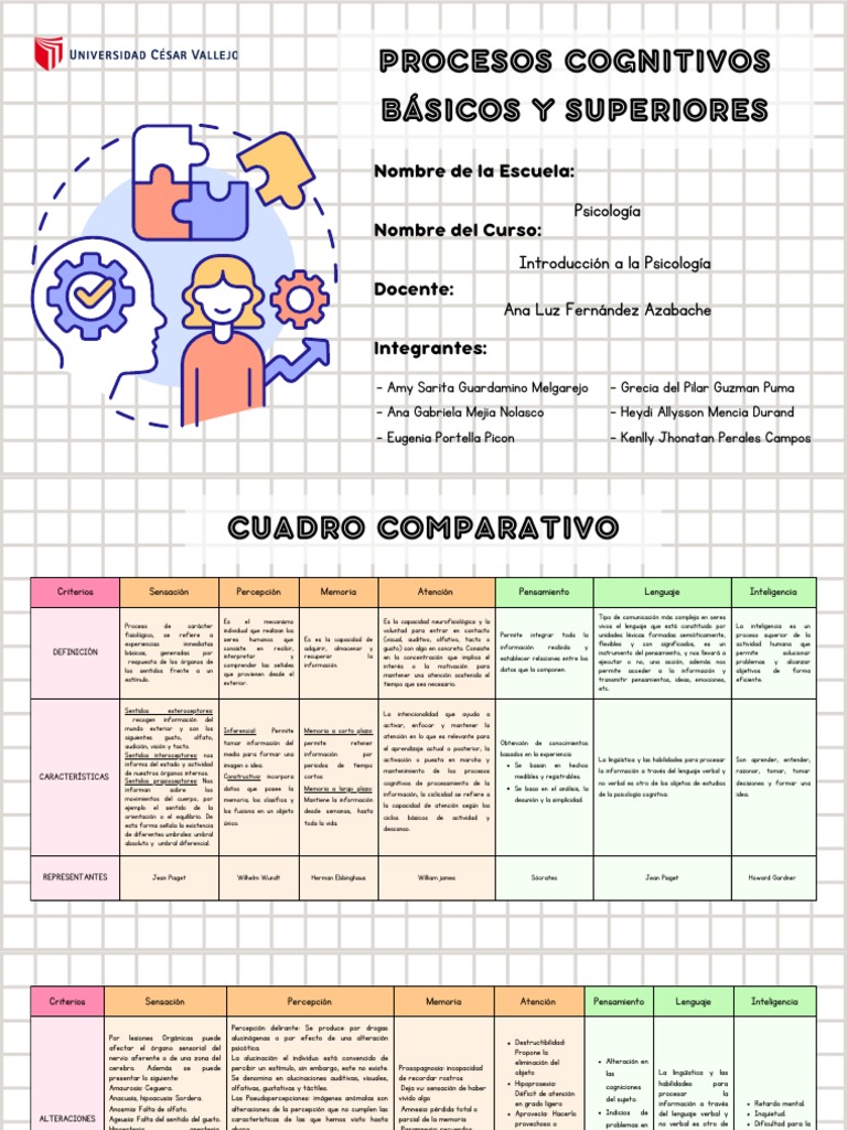 PROCESOS COGNITIVOS Básicos y Superiores | PDF | Percepción | Sicología