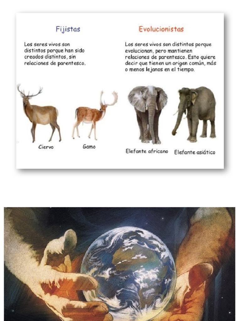 Imagenes de La Teoria Fijista | PDF