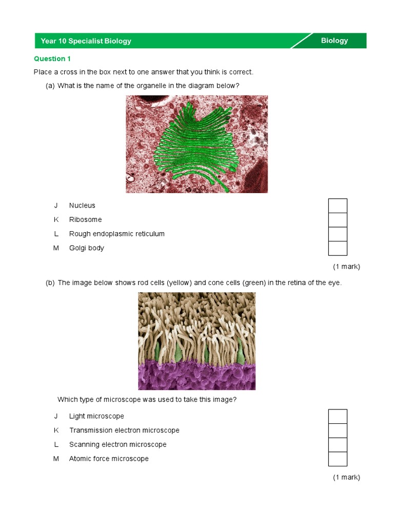 Year 10 Specialist Biology Practice Test | PDF | Cell (Biology ...