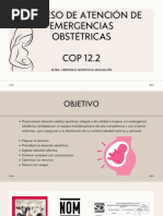 Código ERI: Respuesta Inmediata Obstétrica | PDF | Enfermería | Partería