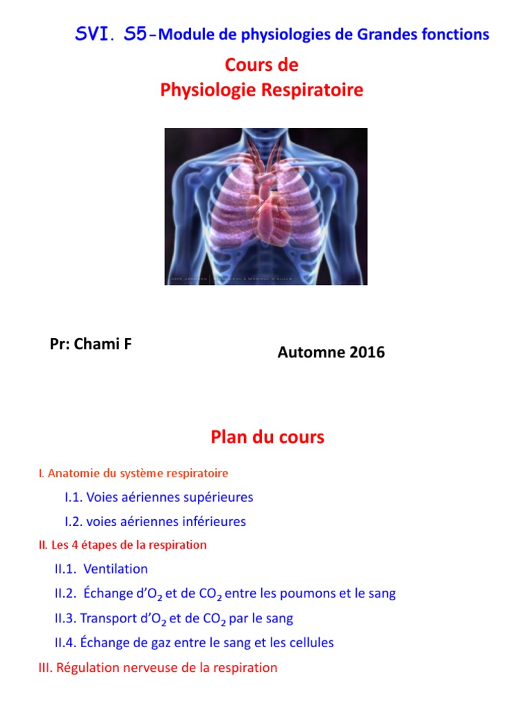 Étapes de la respiration humaine | PDF | Système respiratoire | Respiration