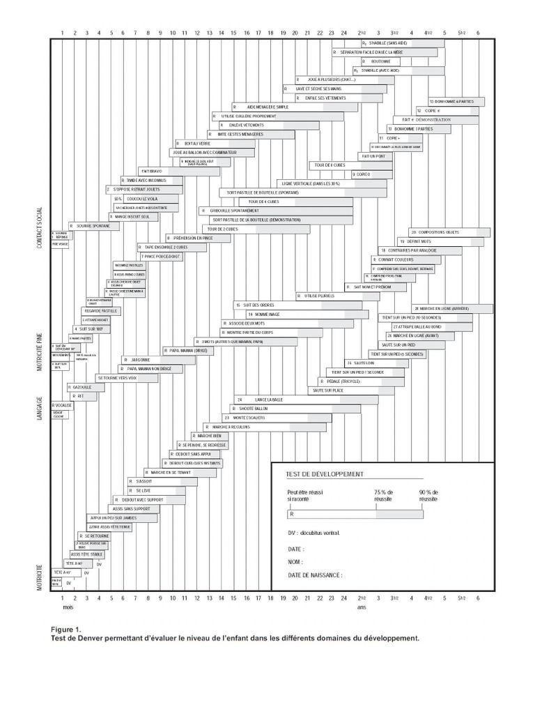 Test Denver | PDF
