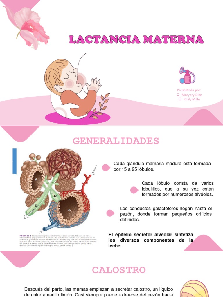 Lactancia Materna Pdf Lactancia Amamantamiento