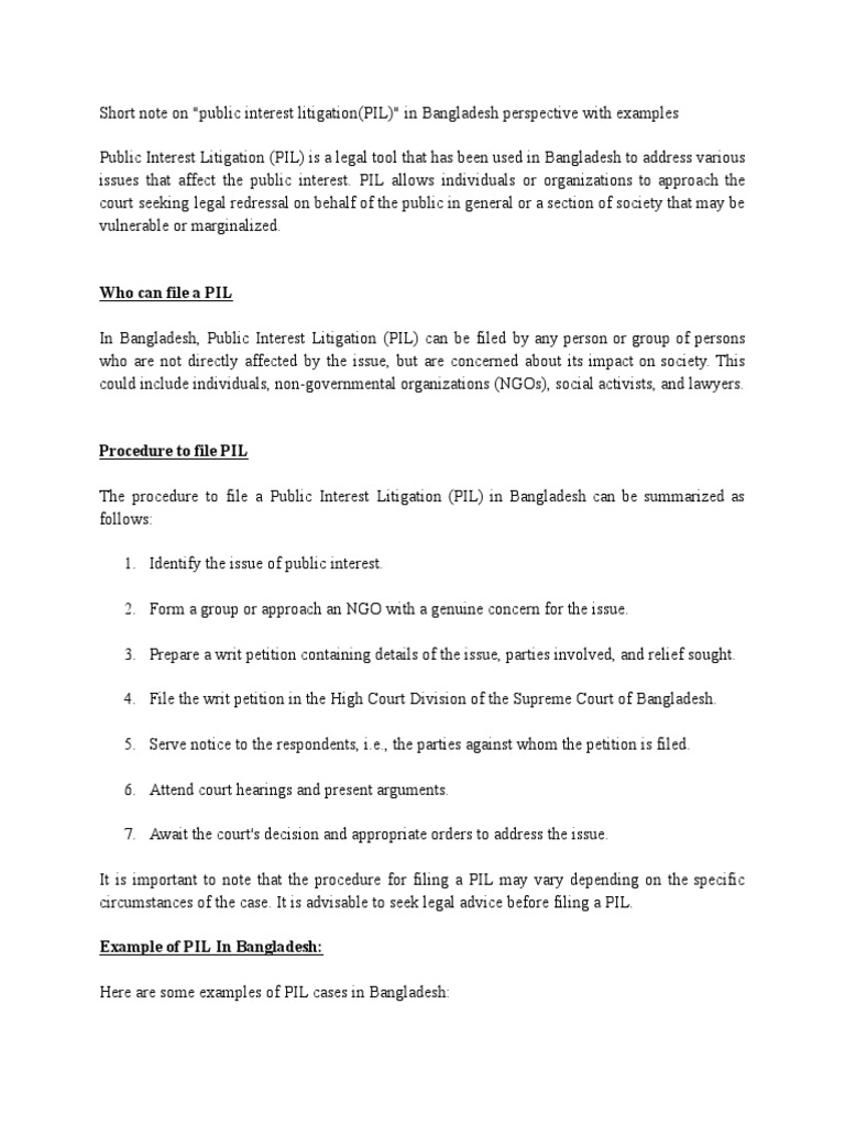 Who Can File A PIL | PDF | Government | Public Law