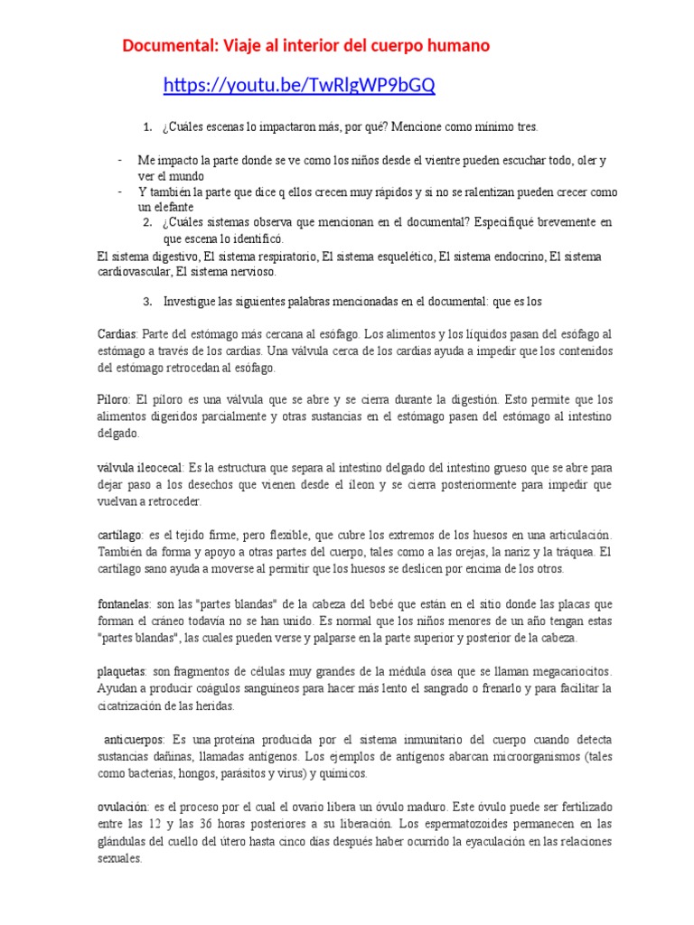 Documental Preguntas Tarea 3 | PDF | Sangre | Aorta