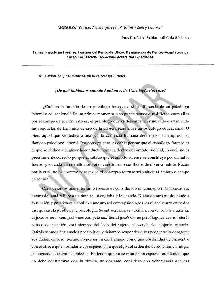Función Y Fundamentos Legales Del Perito Psicológico De Oficio En El