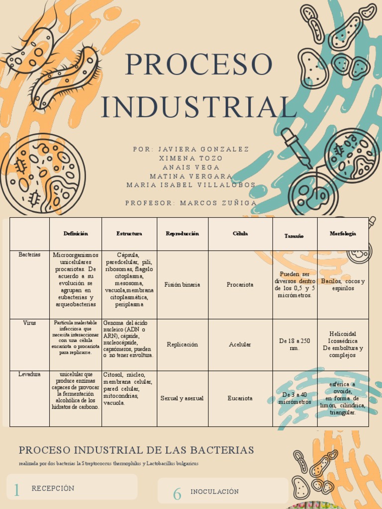 Trabajo 1 Proceso Industrial | PDF | Las bacterias | Biología Celular)