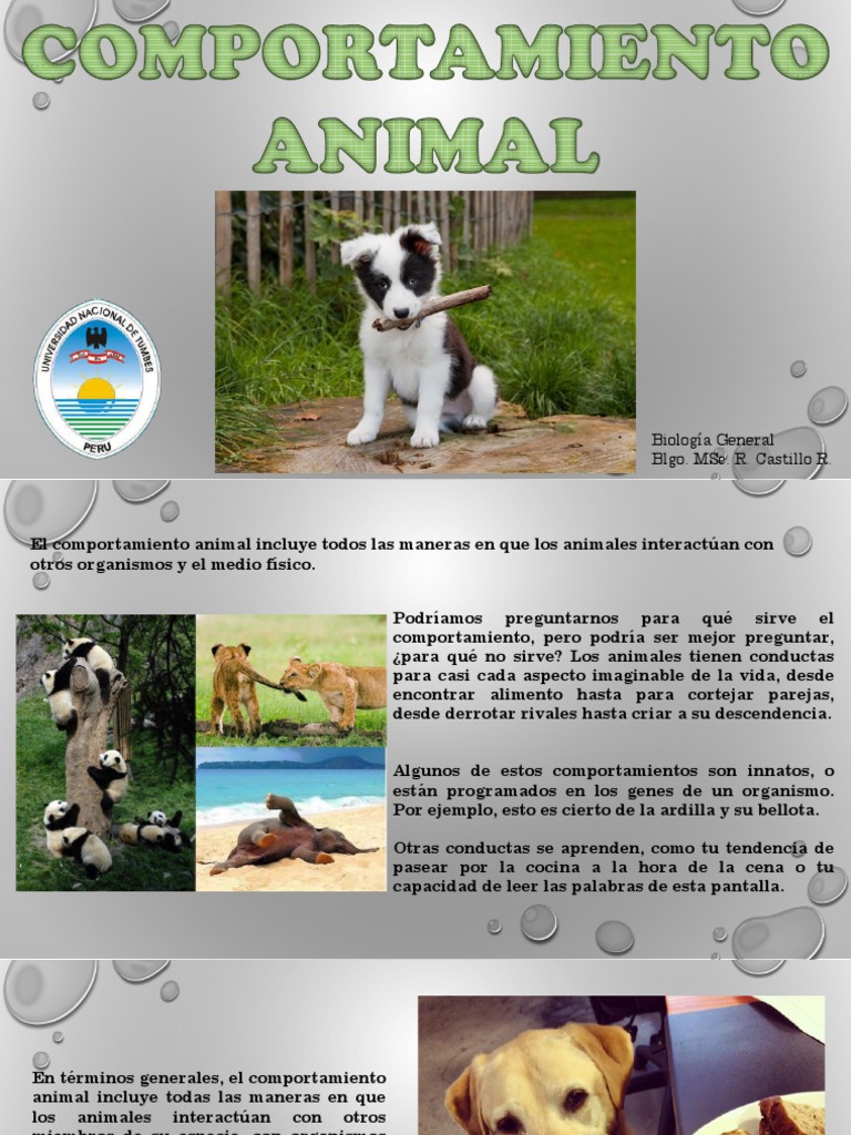 Comportamiento y Ecología Animal | PDF | Ecosistema | Etología