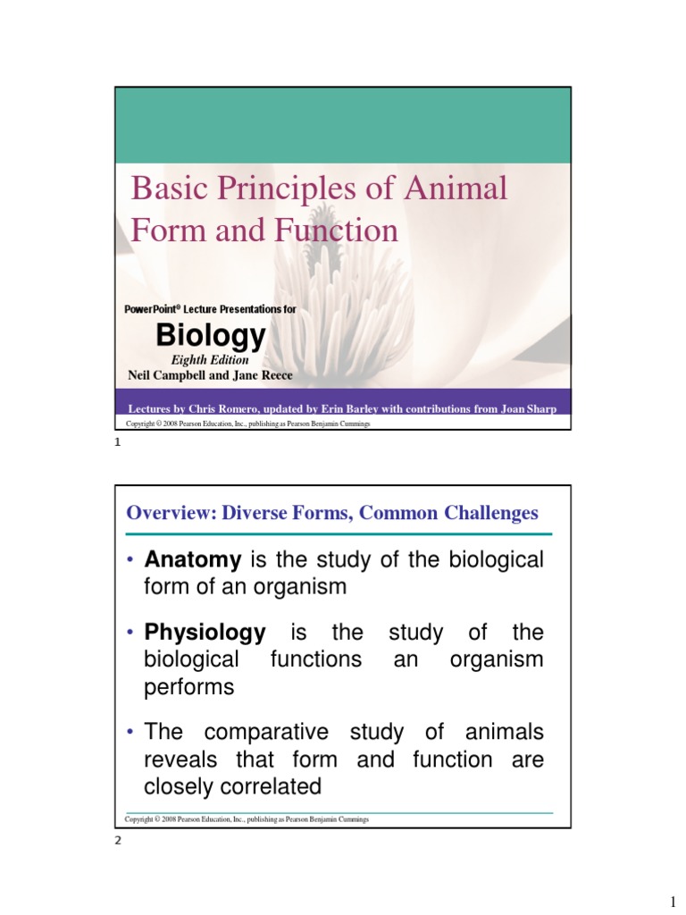 Chapter 4 Basic Principles of Animal Form and Function | PDF ...