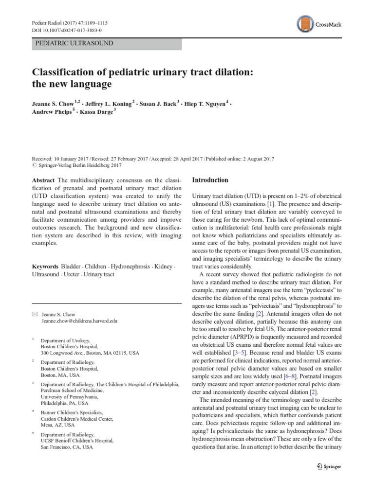 Classification of Pediatric Urinary Tract Dilation | PDF | Kidney ...