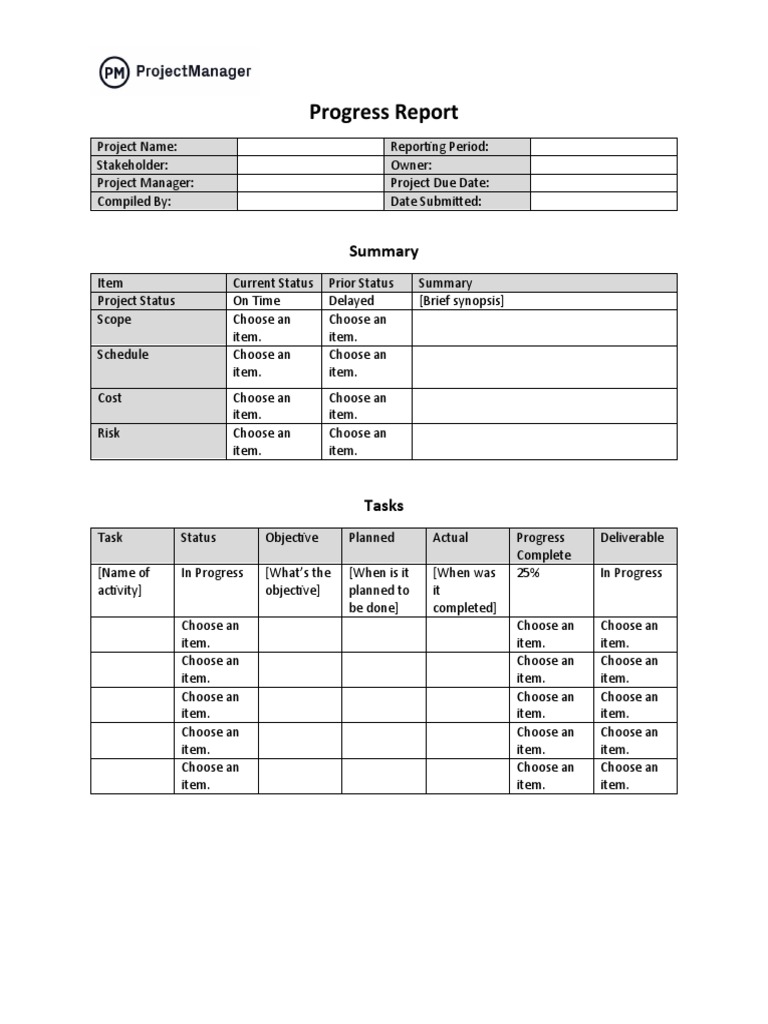 Free Progress Report Template ProjectManager ND23 | PDF | Business