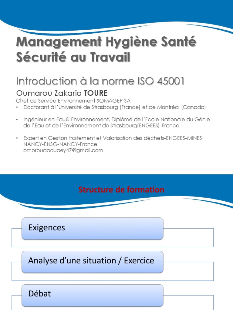 Cours SST | PDF | Audit | Business
