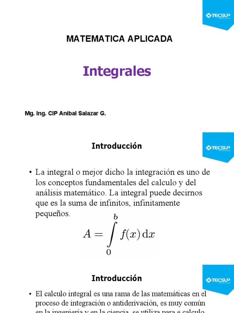 S08 02 Integrales | PDF | Integral | Funciones y mapeos