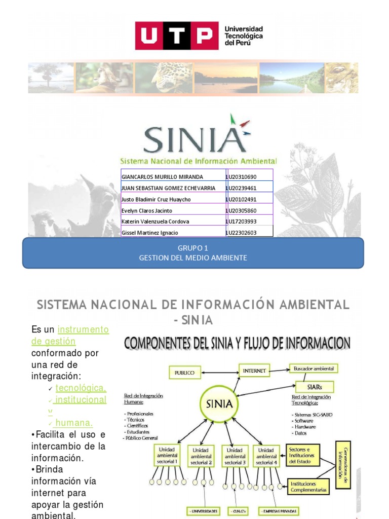 sinia | PDF | Red mundial | Internet y web