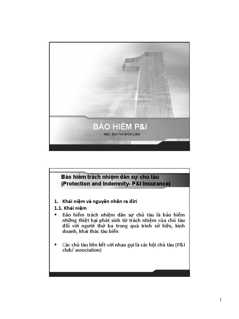 Bảo Hiểm P&I: Msc. Bui Thi Bich Lien | PDF