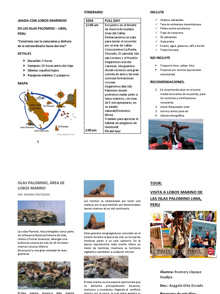 ROSMERY Visita A Lobos Marinos | PDF | Fauna | Depredadores