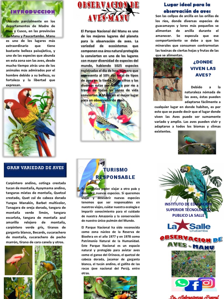 Lourdes - Triptico Observacion de Aves Manu Lourdes Soto | PDF | Aves ...