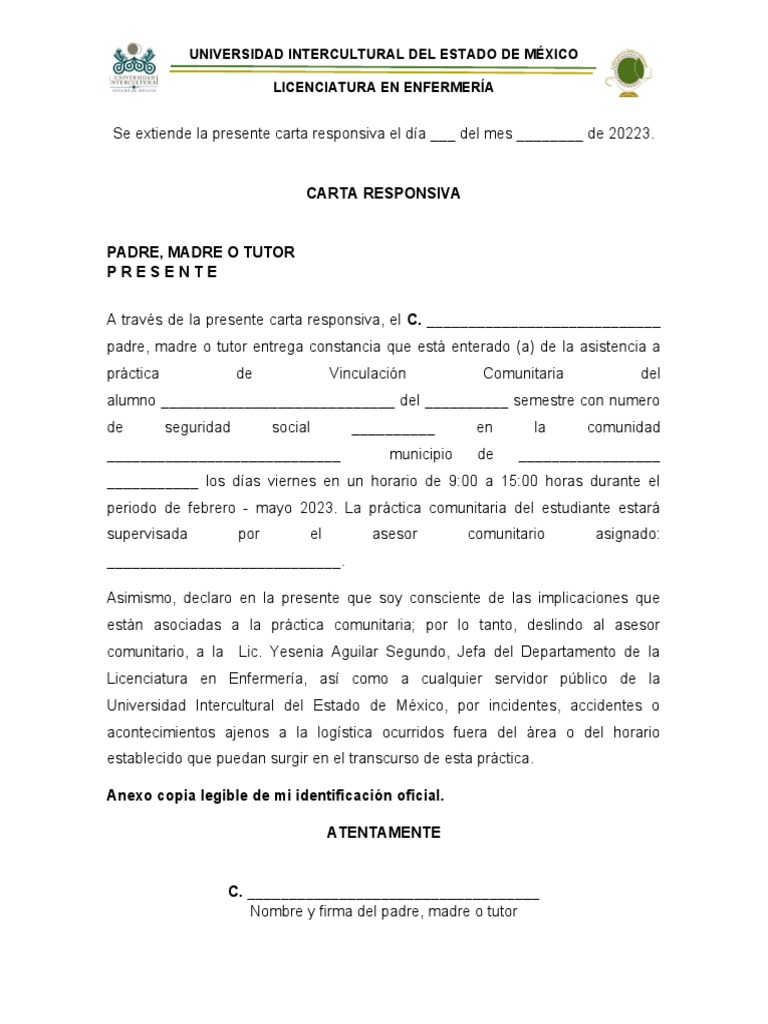 Carta Responsiva VC | PDF