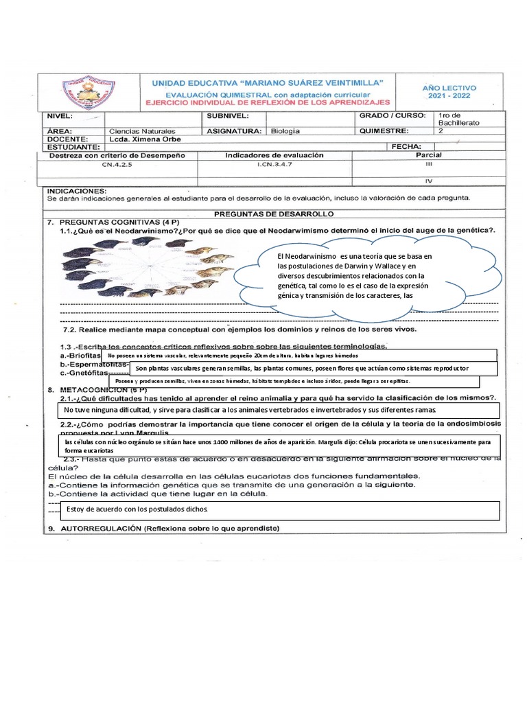 Examen Segundo Quimestre 1ro Bachillerato RR | PDF
