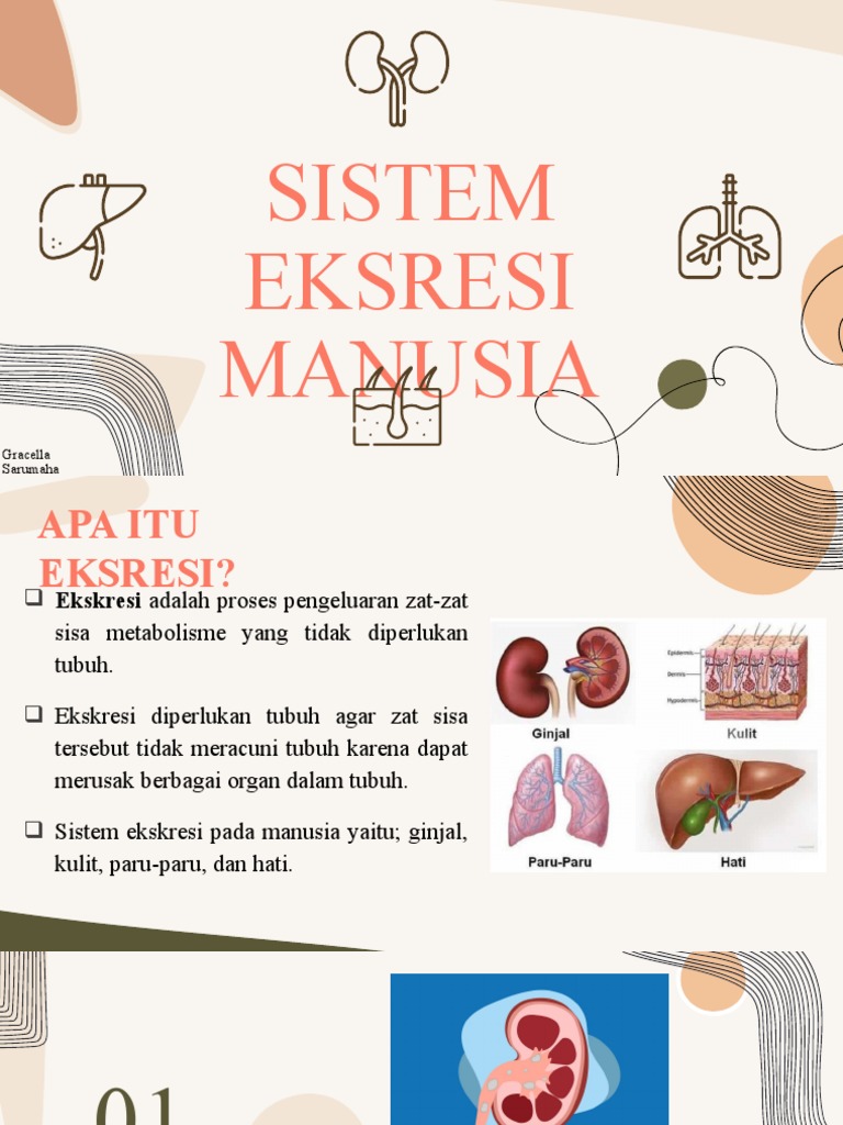 Sistem Eksresi Manusia - Ginjal | PDF