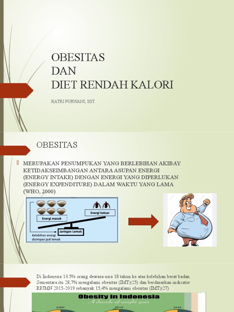 Panduan Diet untuk Obesitas | PDF