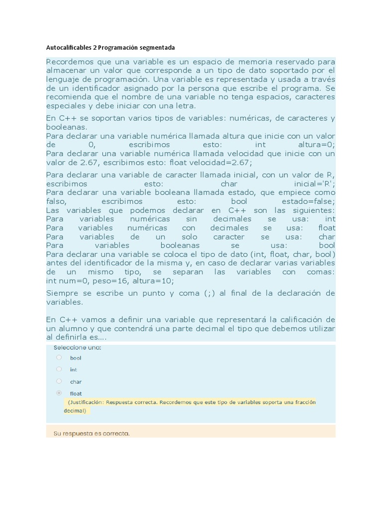 Autocalificables 2 Programación Segmentada | PDF