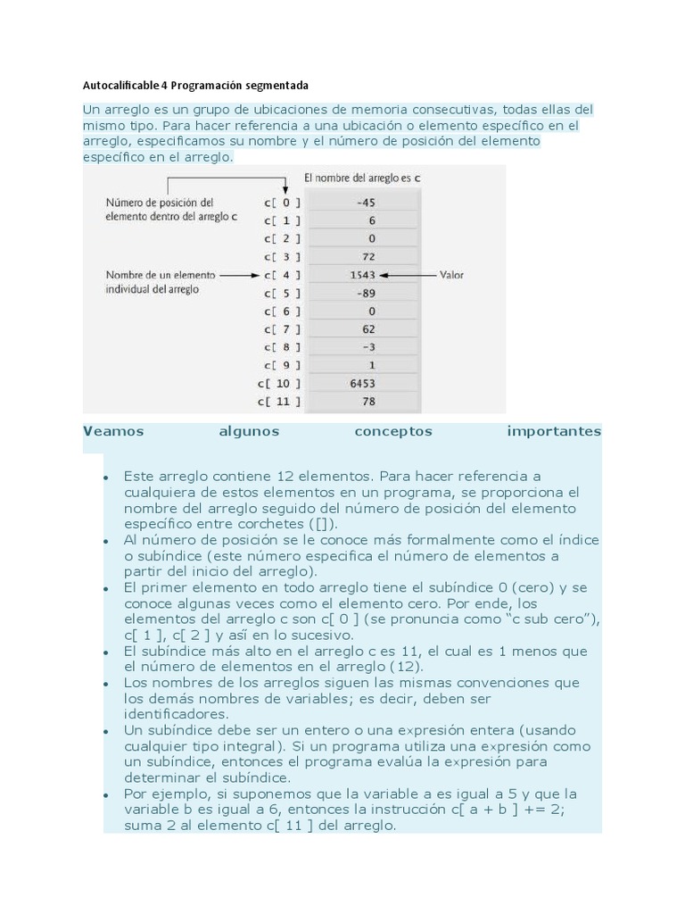 Autocalificable 4 Programación Segmentada | PDF