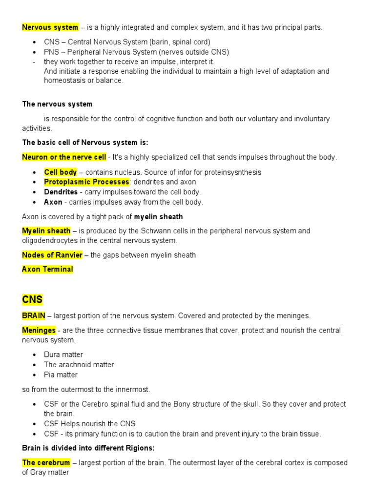 The Complex Integration of the Central and Peripheral Nervous Systems ...