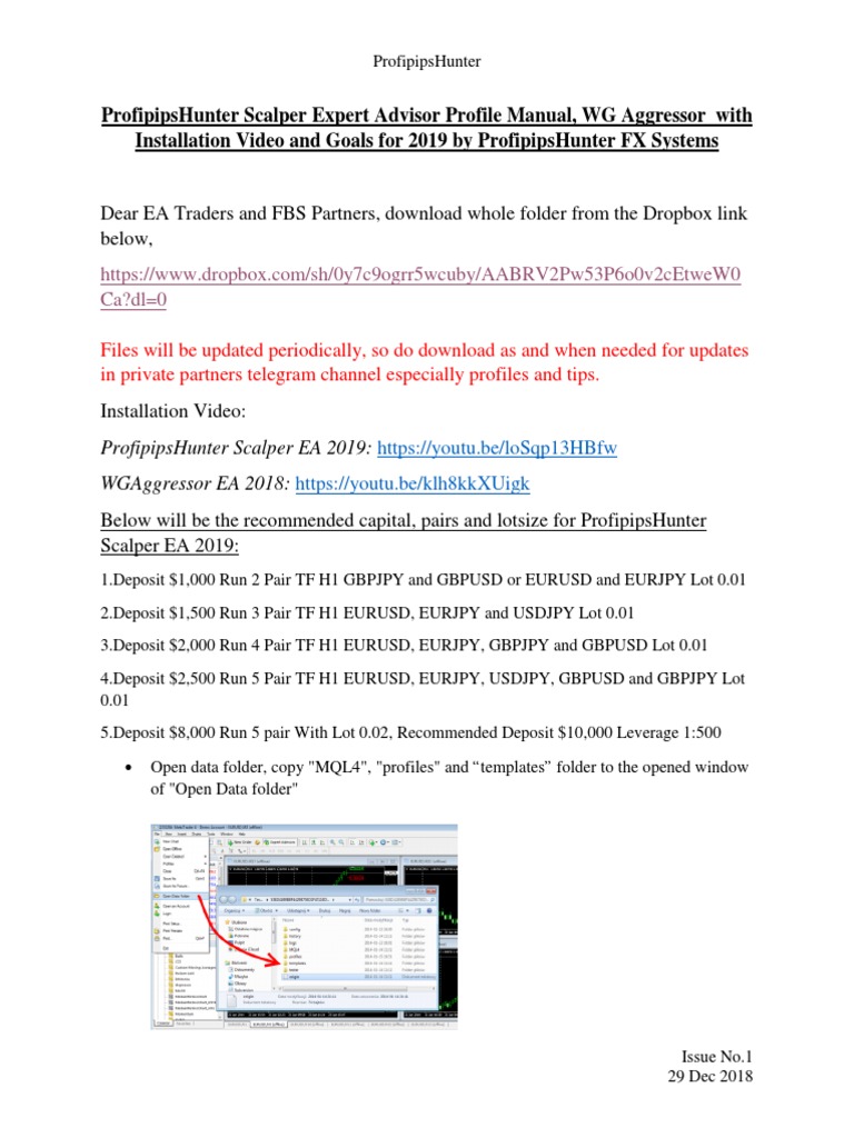 ProfipipsHunter FX System 2019 Manual | PDF | Computers