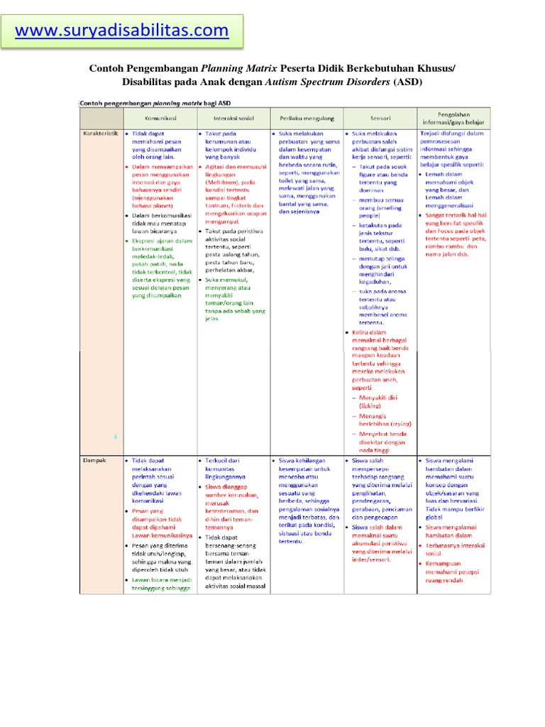 Contoh Pengembangan Planning Matrix Peserta Didik Berkebutuhan Khusus | PDF