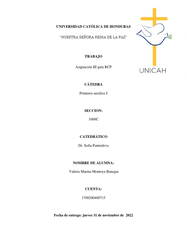 GUIA RCP (6) VMMB | PDF | Reanimación cardiopulmonar | Emergencias Médicas